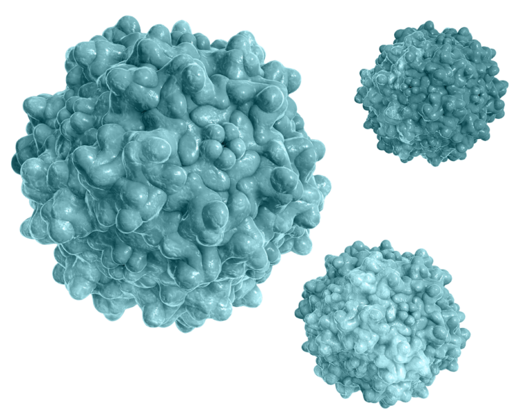 Vaccine Potency Assays | Real-Time Viral Infectivity Analytics with Radiance® - LumaCyte