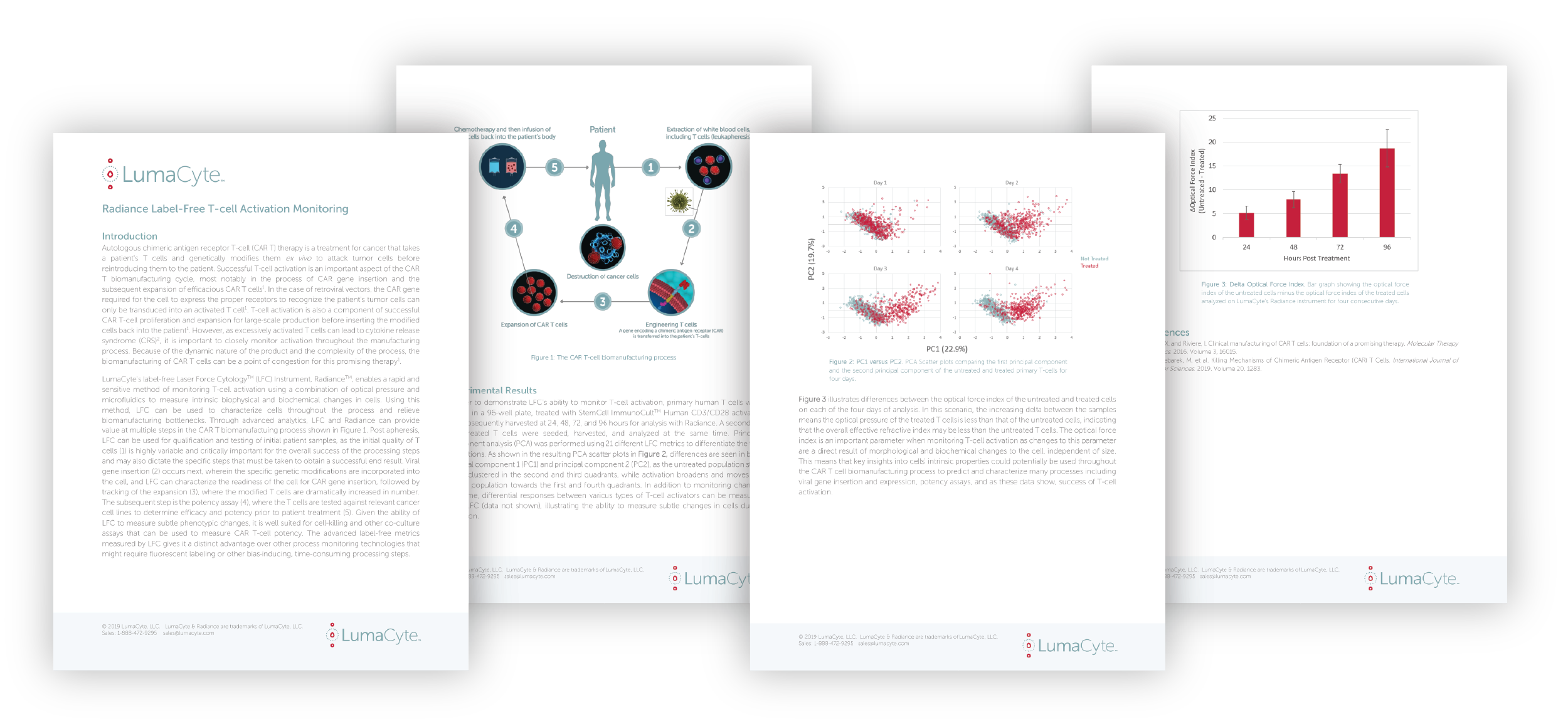 Radiance® Label-Free T-Cell Activation Monitoring - LumaCyte
