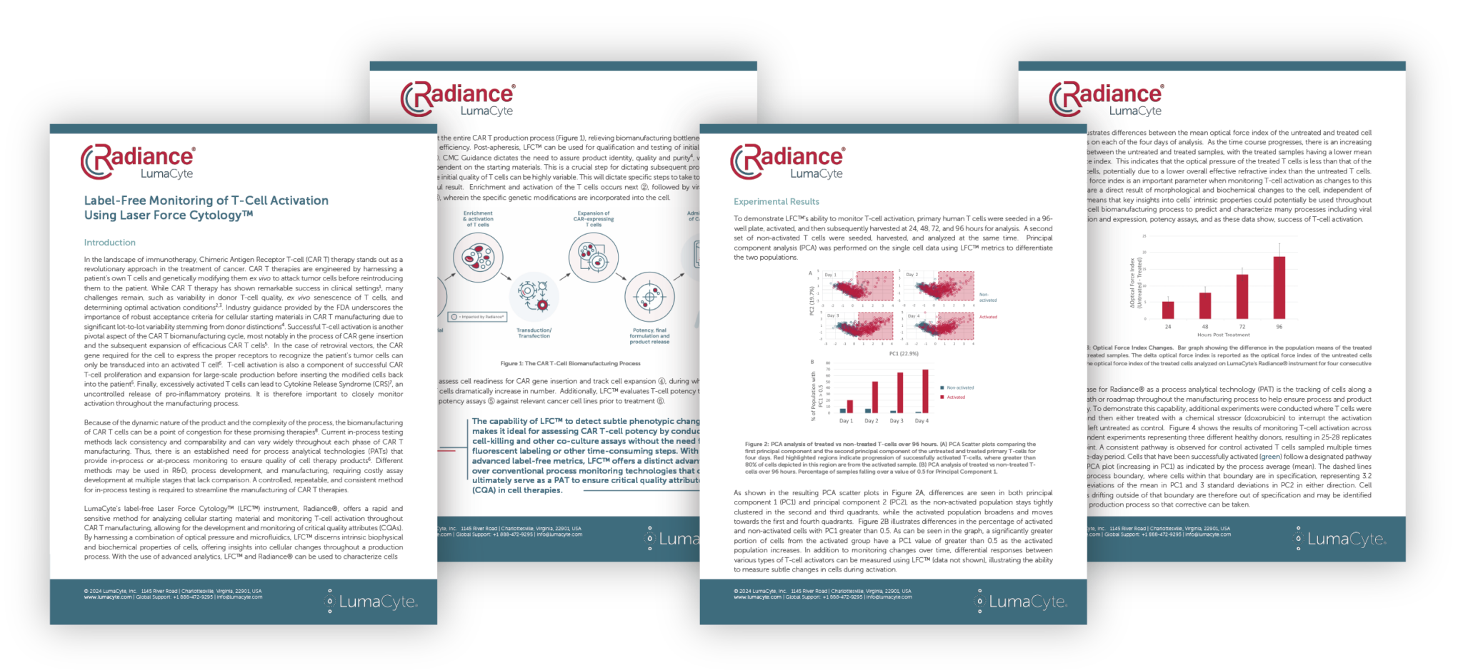 Radiance® Label-Free T-cell Activation Monitoring - LumaCyte